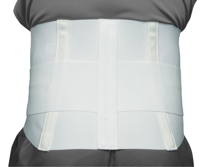 Lumbar, Rib, and Abdomen – ChampionCanada
